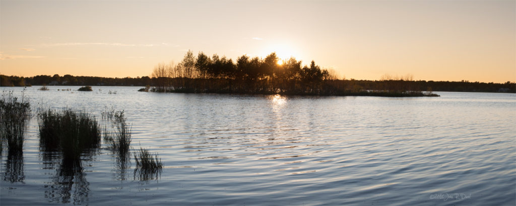 Sugar Island – For Sugar Island